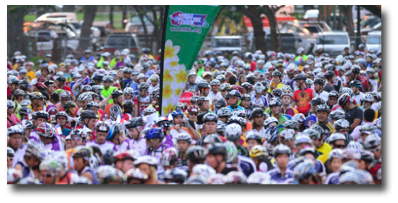 Honolulu Century Ride September 29, 2013 - Kaimuki - Honolulu, Hawaii News
